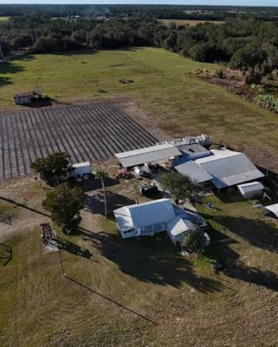 Eagle's Nest Farms in Crescent City, FL - Virtual Globetrotting