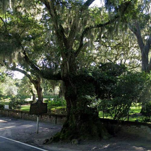 Wesley Oak in St Simons, GA (Google Maps)
