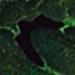 Christmas Tree Lake in Arizona (AZ) (Google Maps)