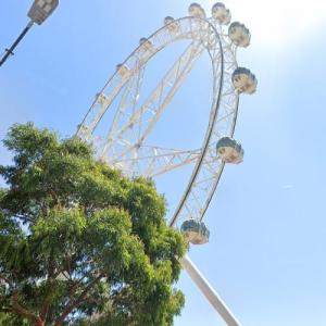 Melbourne Star in Melbourne, Australia - Virtual Globetrotting
