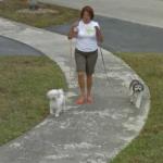 Dog-walker in Miami, FL (Google Maps)