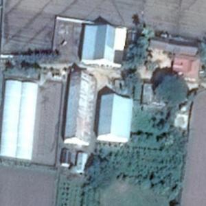 Finca El Pinar (Alejandro Robaina Tobacco Plantation) in San Luis, Cuba ...