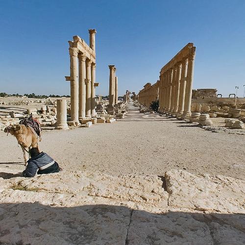 Palmyra in Palmyra, Syrian Arab Republic (Google Maps) (#2)