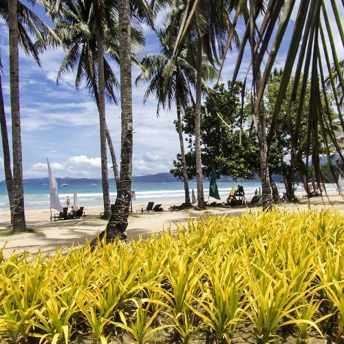 Sabang Beach in Puerto Galera, Philippines (Google Maps)