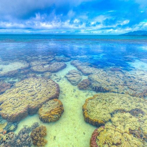 Naigani Island, Fiji in Levuka, Fiji (Google Maps)