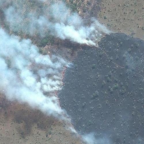 Brush fire in Tabora, United Republic of Tanzania (Google Maps) (#9)