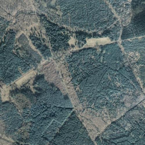 Theon Forest Chase ("Game of Thrones") in Antrim, United Kingdom ...