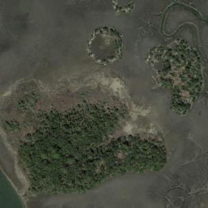 Fig Island in Rockville, SC - Virtual Globetrotting