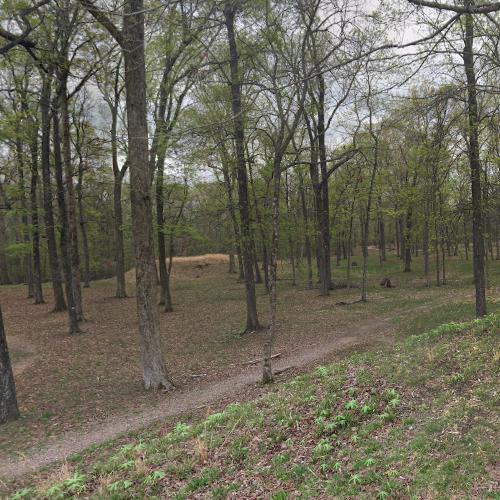 Shiloh Indian Mounds Site in Savannah, TN - Virtual Globetrotting