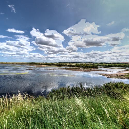 Titchwell Marsh in Titchwell, United Kingdom (Google Maps)