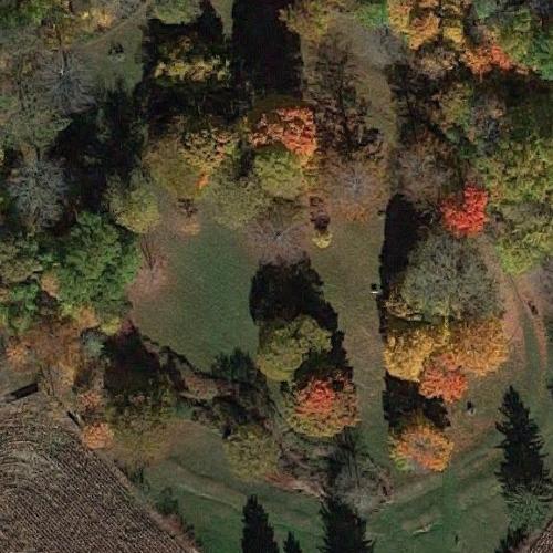 Southwold Earthworks in Iona, Canada (Google Maps)