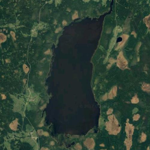 Lake Lacha in Kargopol’, Russian Federation (Google Maps)