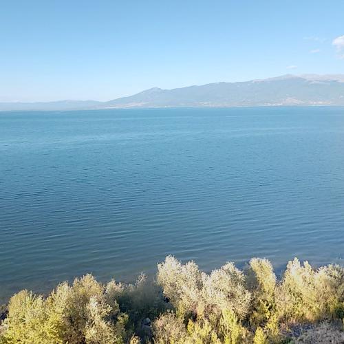 Great Prespa in Ohrid, Republic of Macedonia (Google Maps)
