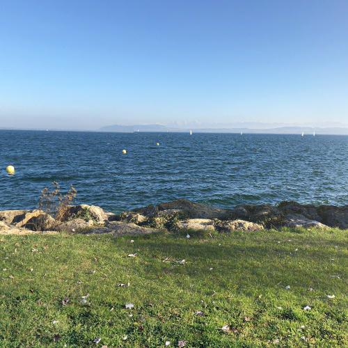 Lake Neuchâtel in Colombier, Switzerland (Google Maps)