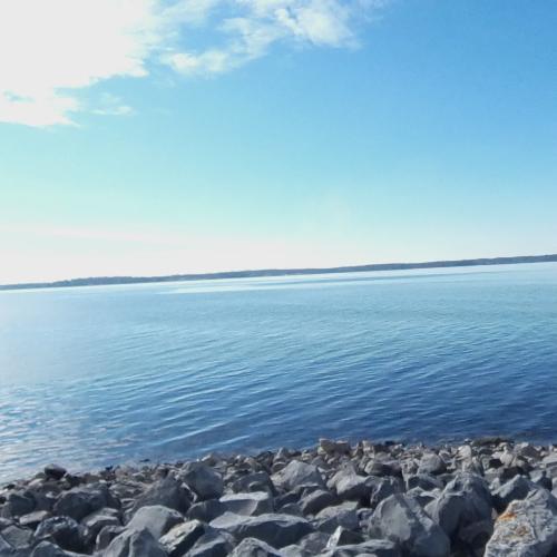 Lake Kentucky in Grand Rivers, KY (Google Maps)