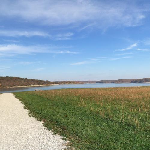 Lake Monroe in Bloomington, IN (Google Maps)