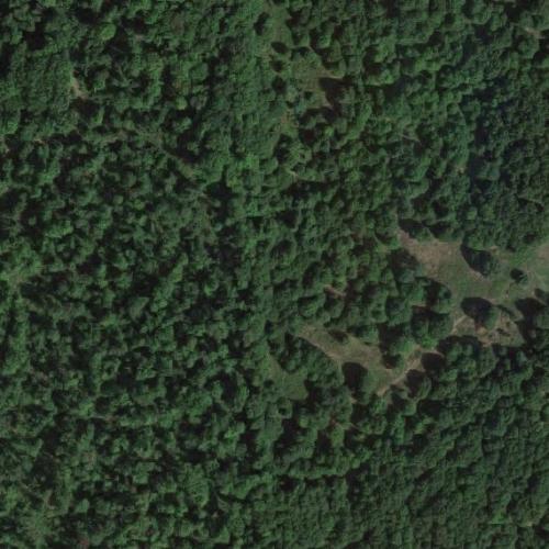 Mohawk Airlines Flight 40 crash site in Blossburg, PA (Google Maps)