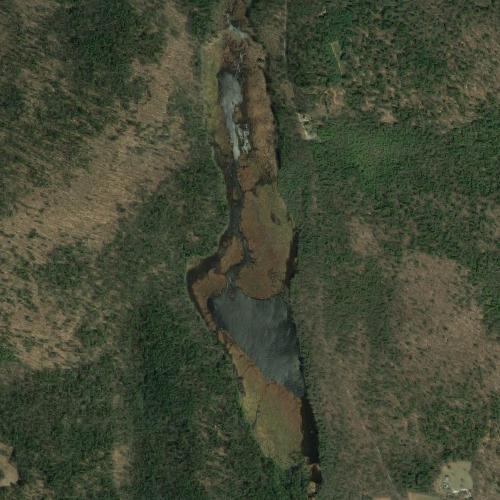 Beckley Bog in Norfolk, CT (Google Maps)