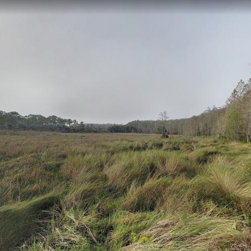 Corkscrew Swamp Sanctuary in Naples, FL (Google Maps)