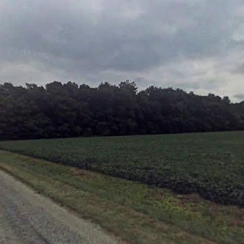 Calvert and Porter Woods in New Ross, IN (Google Maps)