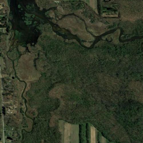 Pigeon River Fish and Wildlife Area in Mongo, IN (Google Maps)