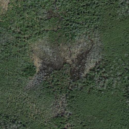 Crystal Bog in Crystal, ME (Google Maps)