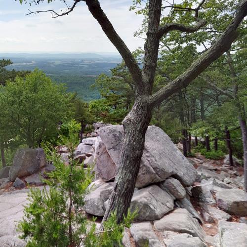 View from Sugarloaf Mountain in Dickerson, MD (Google Maps)