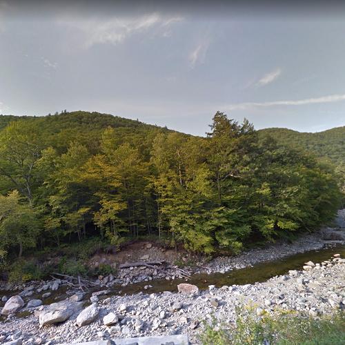 Cold River Virgin Forest in Rowe, MA (Google Maps)