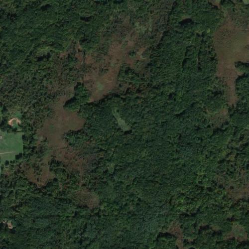 Black Spruce Bog Natural Area in Chelsea, MI (Google Maps)