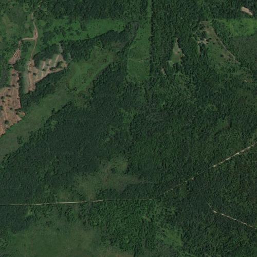 Au Sable State Forest in West Branch, MI (Google Maps)