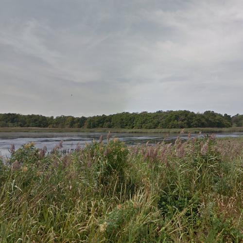 Manahawkin Wildlife Management Area in Manahawkin, NJ (Google Maps)