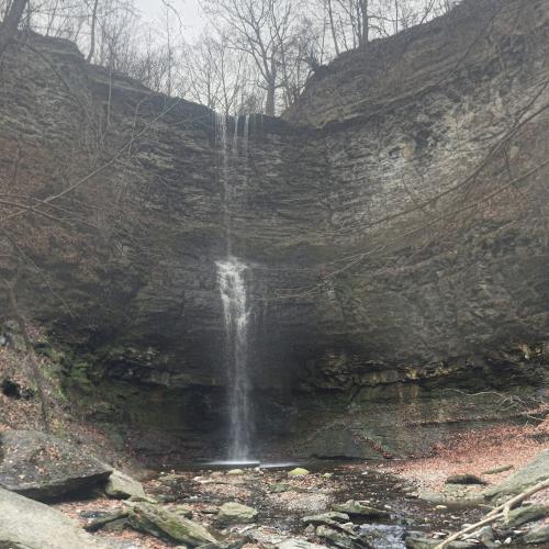 Fall Brook Gorge in Geneseo, NY (Google Maps)