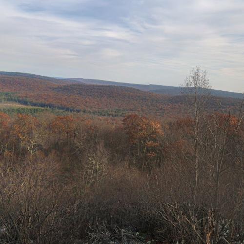 Bear Meadows Natural Area in Boalsburg, PA - Virtual Globetrotting