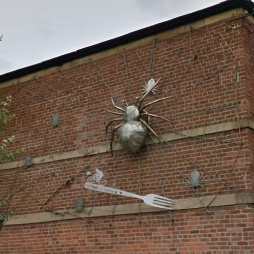 Spider mom with baby spiders a fork and bicycle in Sheffield, United ...