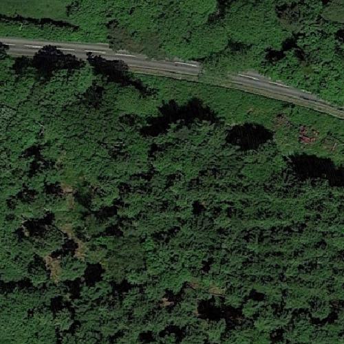 Rempstone Stone Circle in Abbotsbury, United Kingdom (Google Maps)