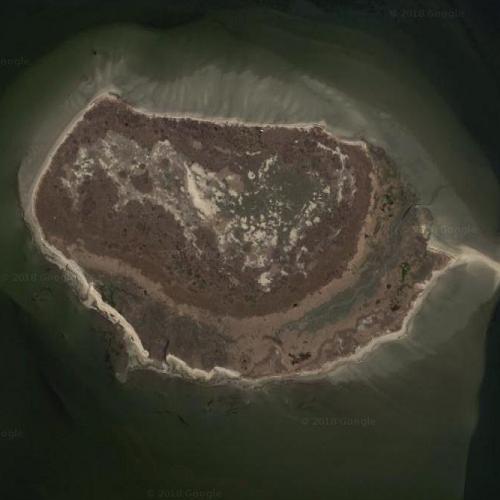 Ruffle Bar in New York, NY (Google Maps)