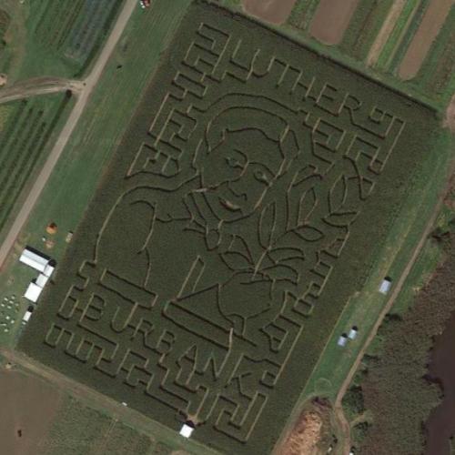Maize Maze at Fairview Farm at Mecox Bay in Water Mill, NY (Google Maps)