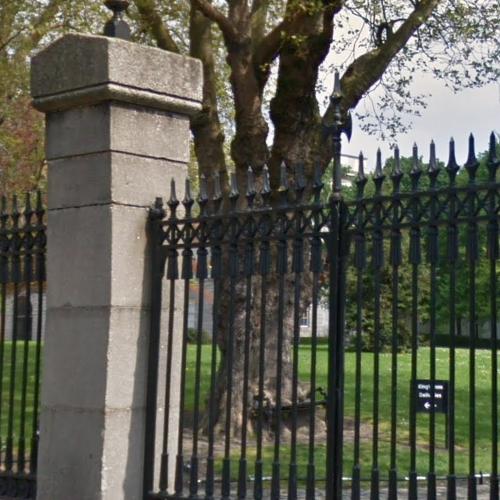 The Hungry Tree in Dublin, Ireland (Google Maps)