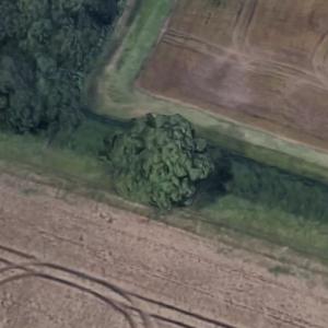Cubbington Pear Tree in Cubbington, United Kingdom - Virtual Globetrotting