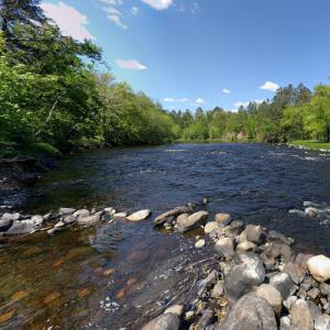 Chengwatana State Forest in Rush City, MN - Virtual Globetrotting