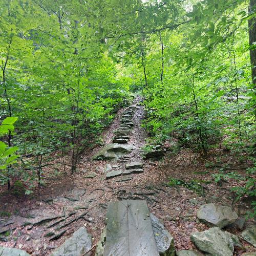 Laurel Ridge State Park in Mill Run, PA (Google Maps)