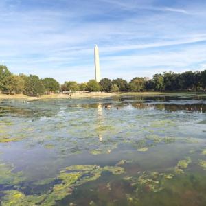 Constitution Gardens in Washington, DC - Virtual Globetrotting