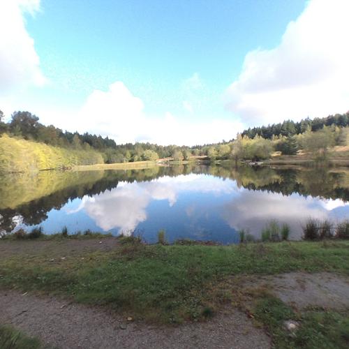 Green Timbers Urban Forest in Surrey, Canada - Virtual Globetrotting