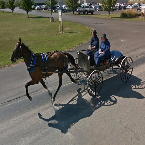 Two Amish women and children on tour in Berne, IN (Google Maps)