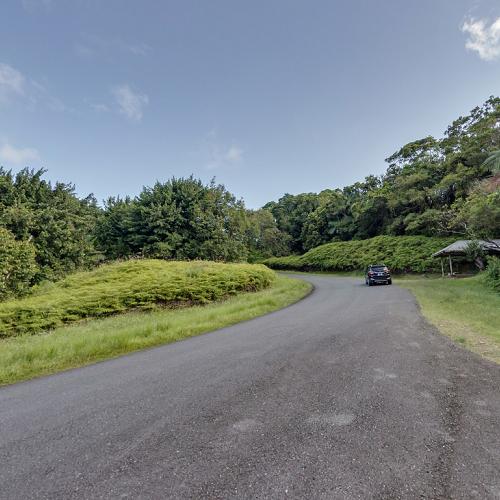 Tobago Main Ridge Forest Preserve in Roxborough, Trinidad and Tobago ...
