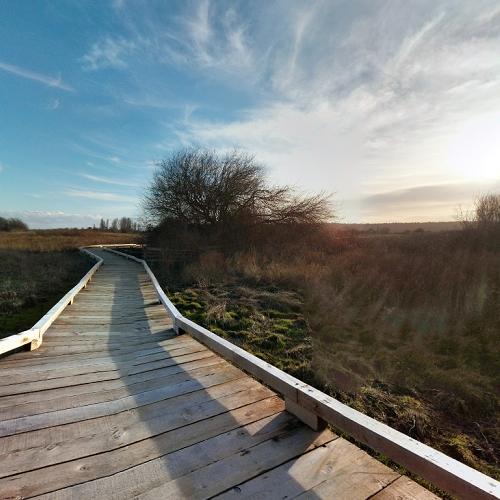 Boundary Bay Regional Park in Point Roberts, WA - Virtual Globetrotting