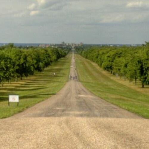 The Long Walk of Windsor Great Park in Windsor, United Kingdom (Google ...
