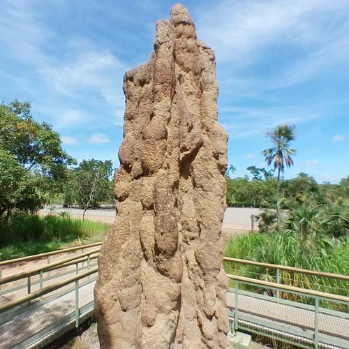 Magnetic Termite Mounds in Batchelor, Australia (Google Maps)