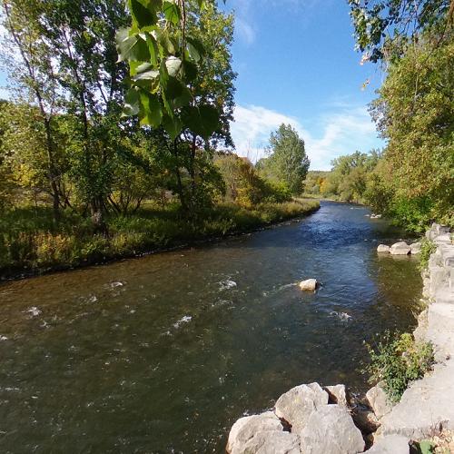 Erindale Park in Mississauga, Canada (Google Maps)