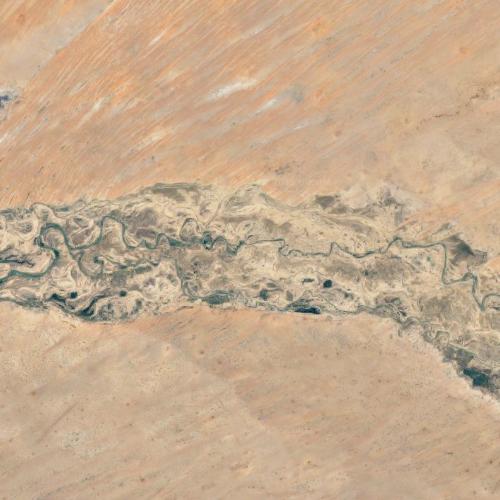 Morfil Island (largest island in Senegal) in Podor, Senegal (Google Maps)